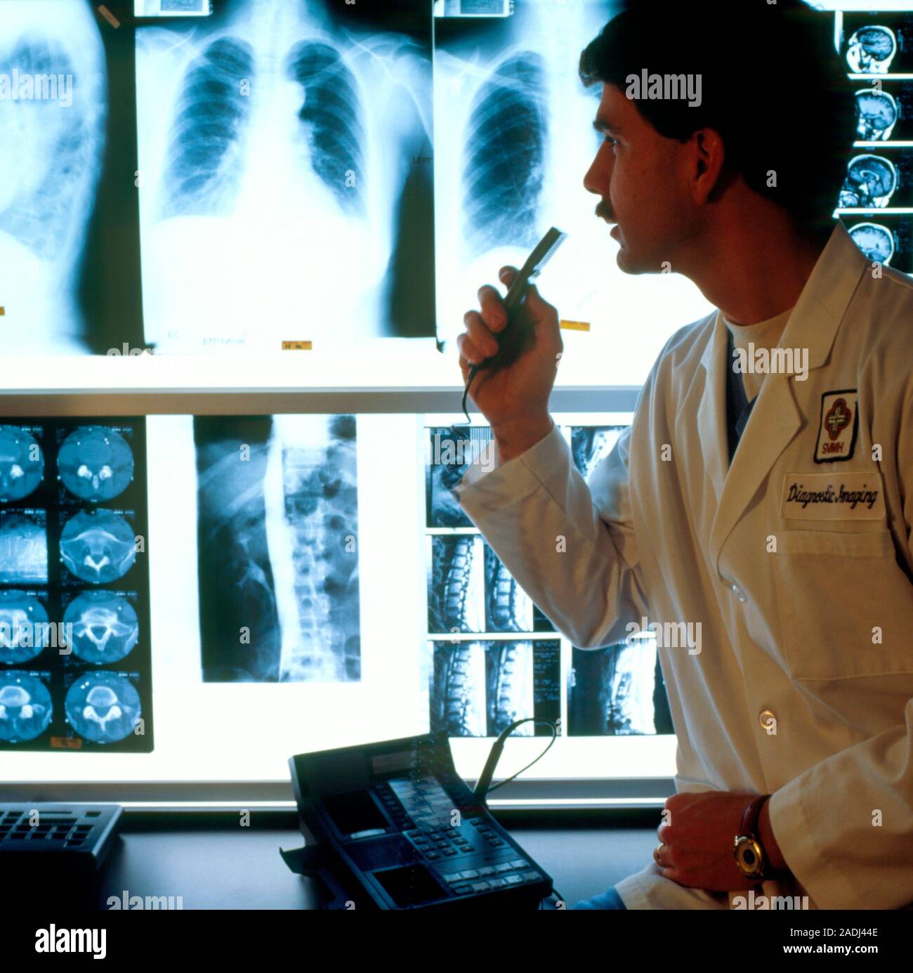 Analysing X-rays. Radiologist examines X-rays of a chest and other ...