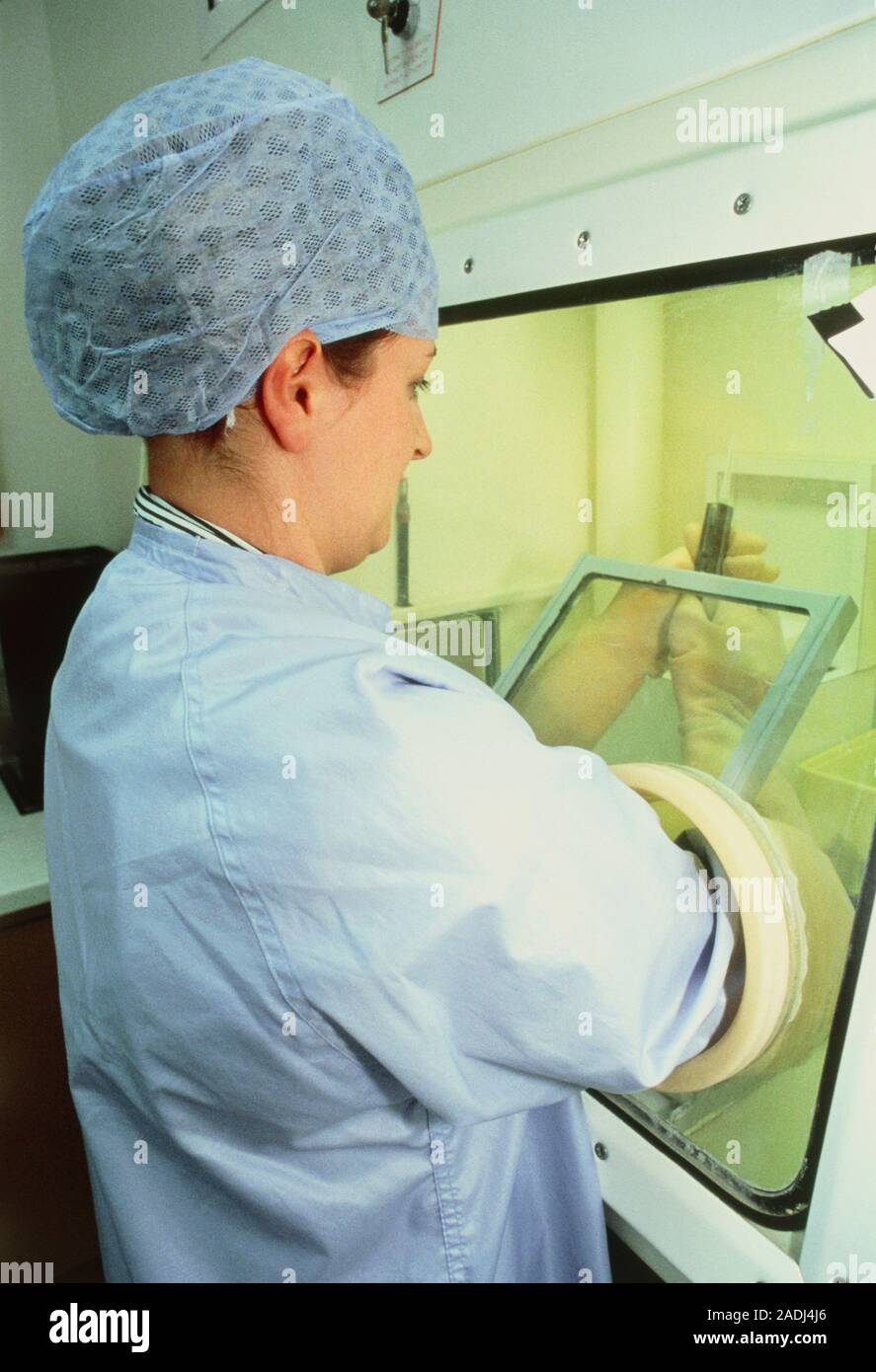 Handling radiopharmaceuticals. Female health worker preparing a dose of ...