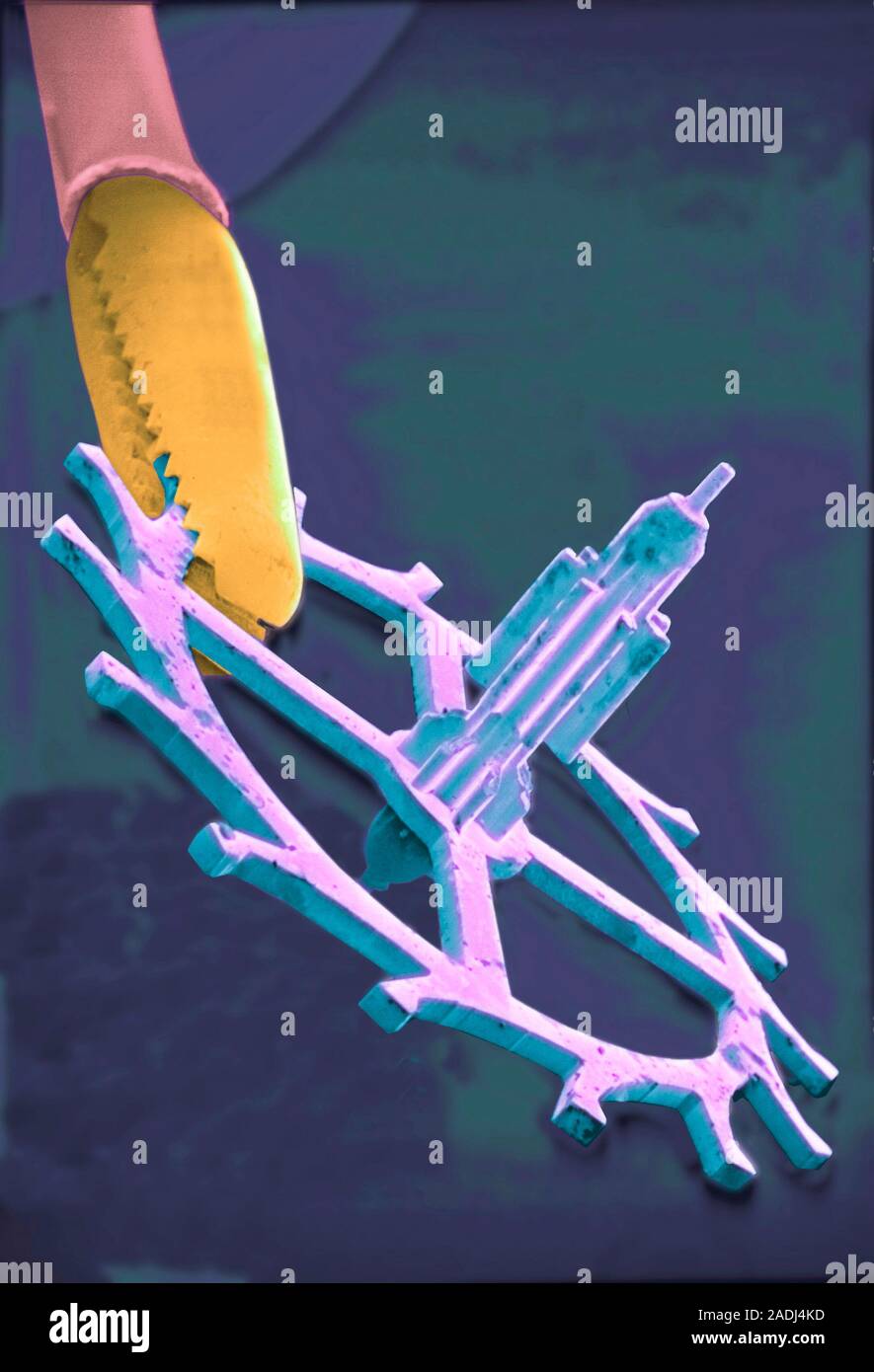 Endoscope forceps. Coloured scanning electron micrograph (SEM) of a ...