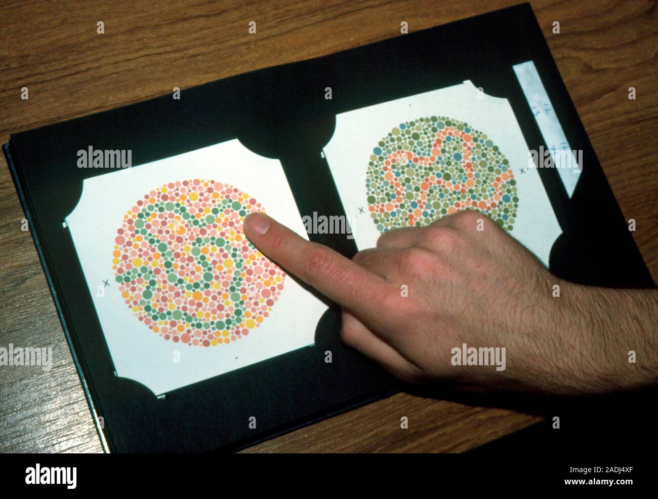 Person undertaking a colour blindness test, pointing to distinguish a ...