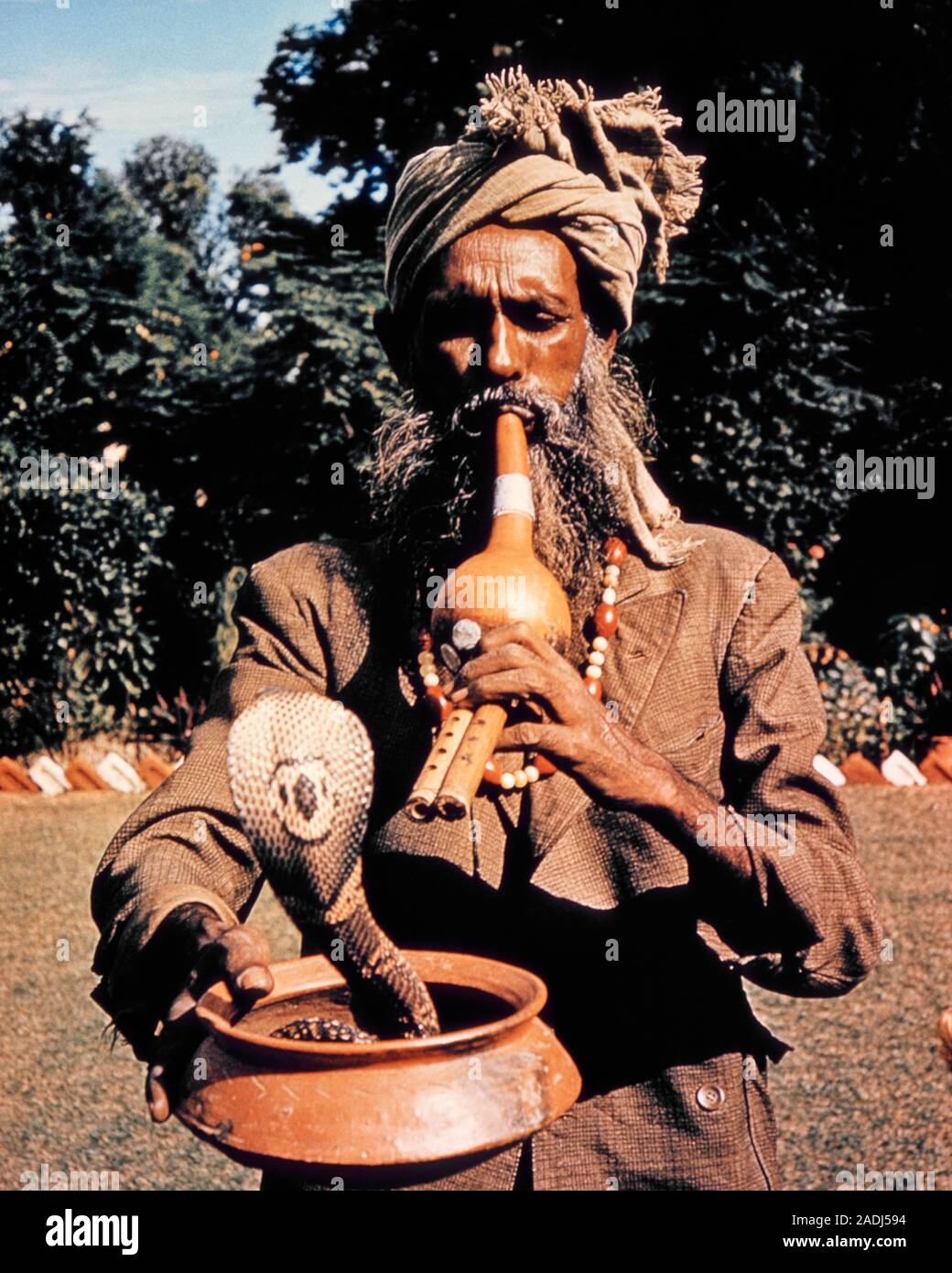 1960s BEARDED MAN RAGGED TURBAN PLAYING NATIVE PUNGI CHARMS DISPLAYING ...