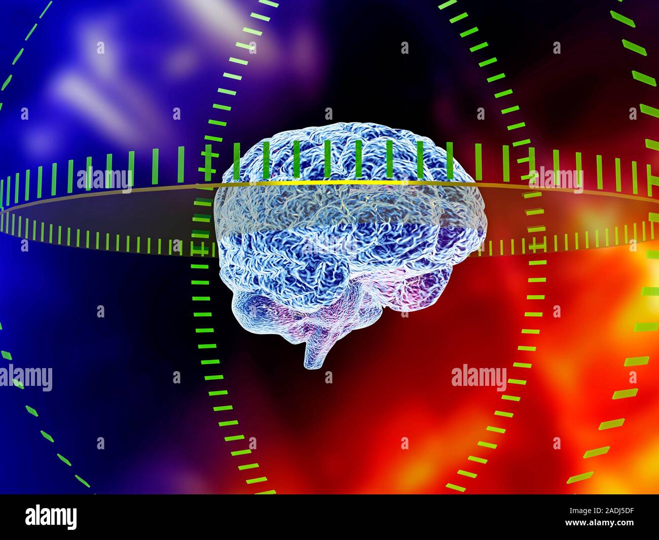 Brain scanning, conceptual artwork. This may represent the brain being ...
