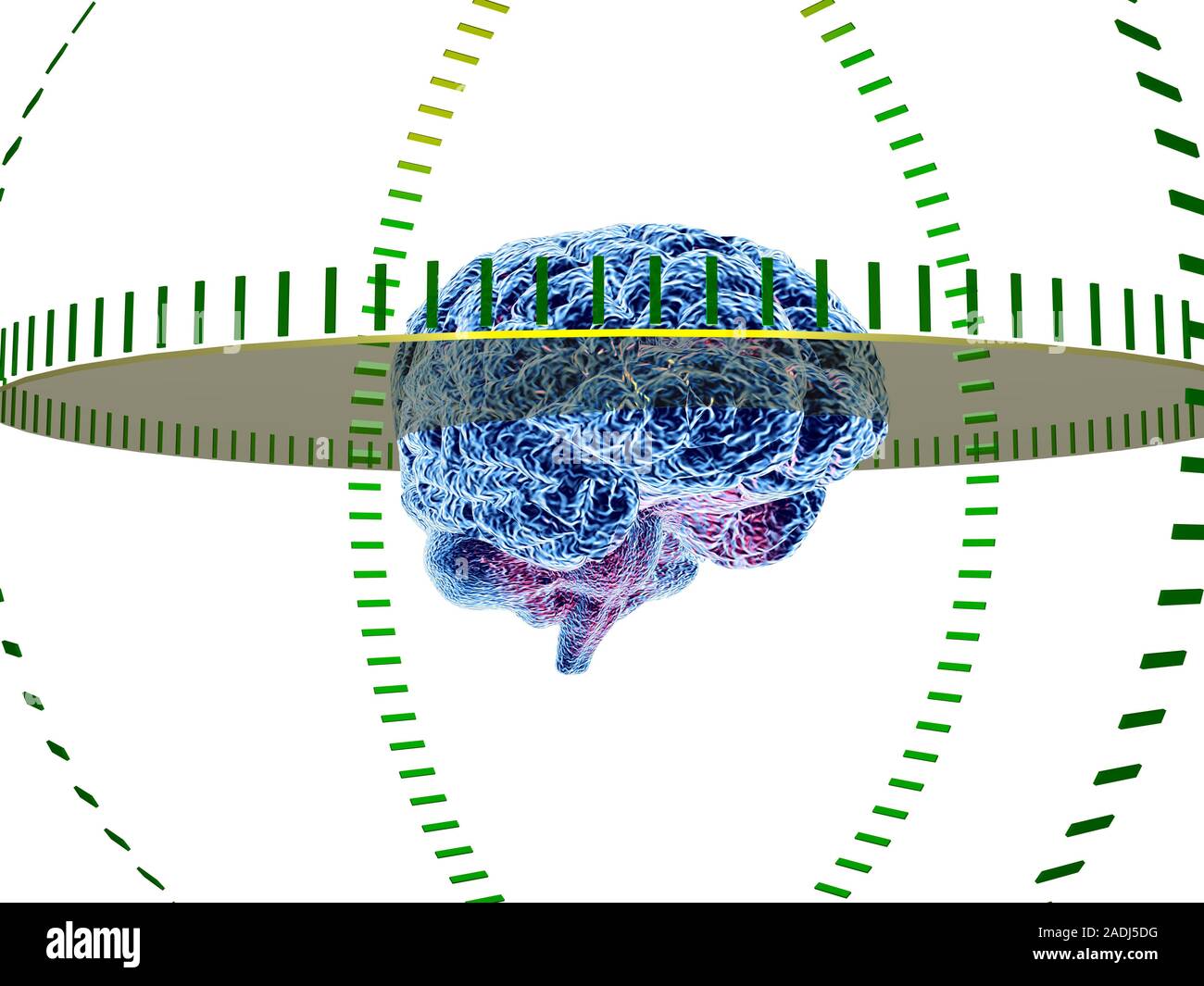 Brain scanning, conceptual artwork. This may represent the brain being ...