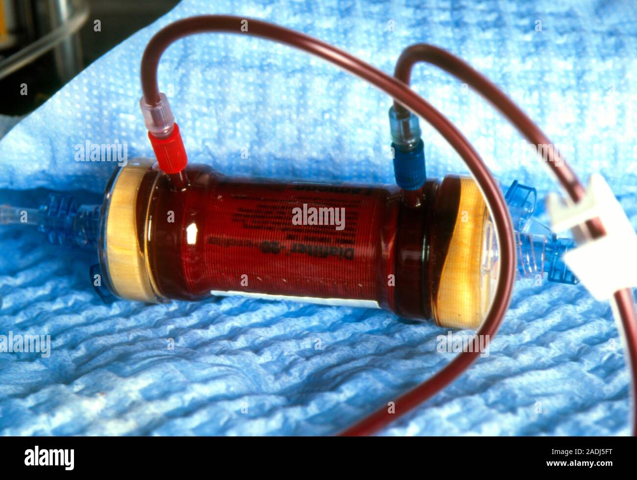 Bio-artificial kidney. Close-up of a bio- artificial kidney tubule unit ...