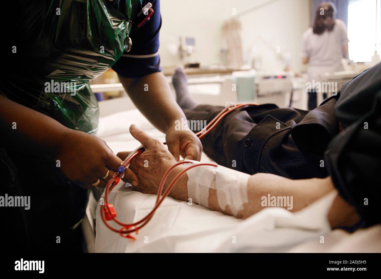 Kidney dialysis. Nurse adjusting the position of a patient's arm during ...