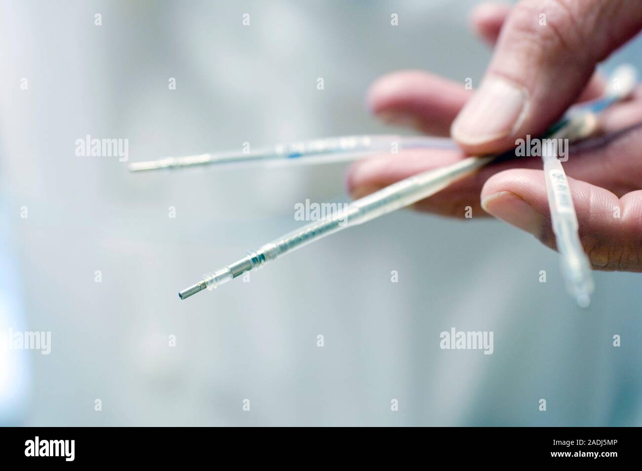 Heart pacemaker cables held in a hand. Pacemakers are fitted in ...