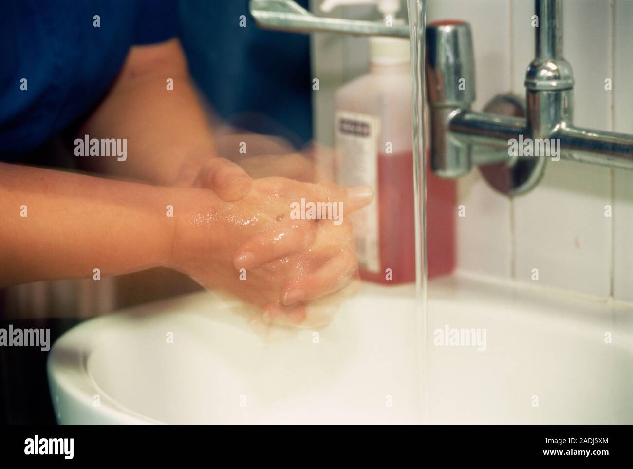 Hospital hygiene. Hands being washed by a member of a hospital staff. A ...