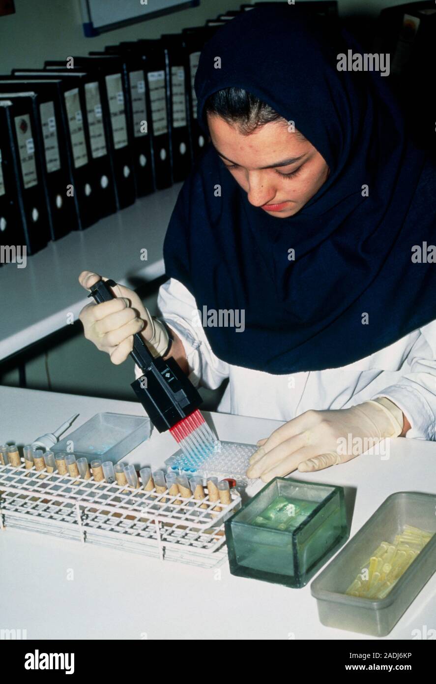 ELISA antibody test. Technician carrying out an enzyme-linked ...