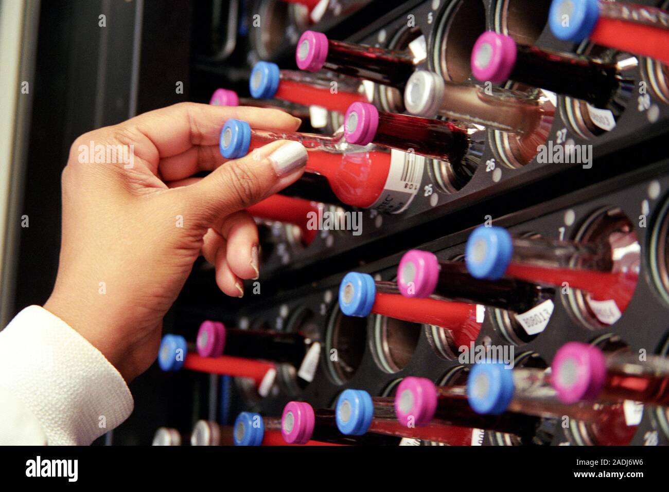 Blood cultures. Bottles of blood culture media in a Bactec machine. The ...