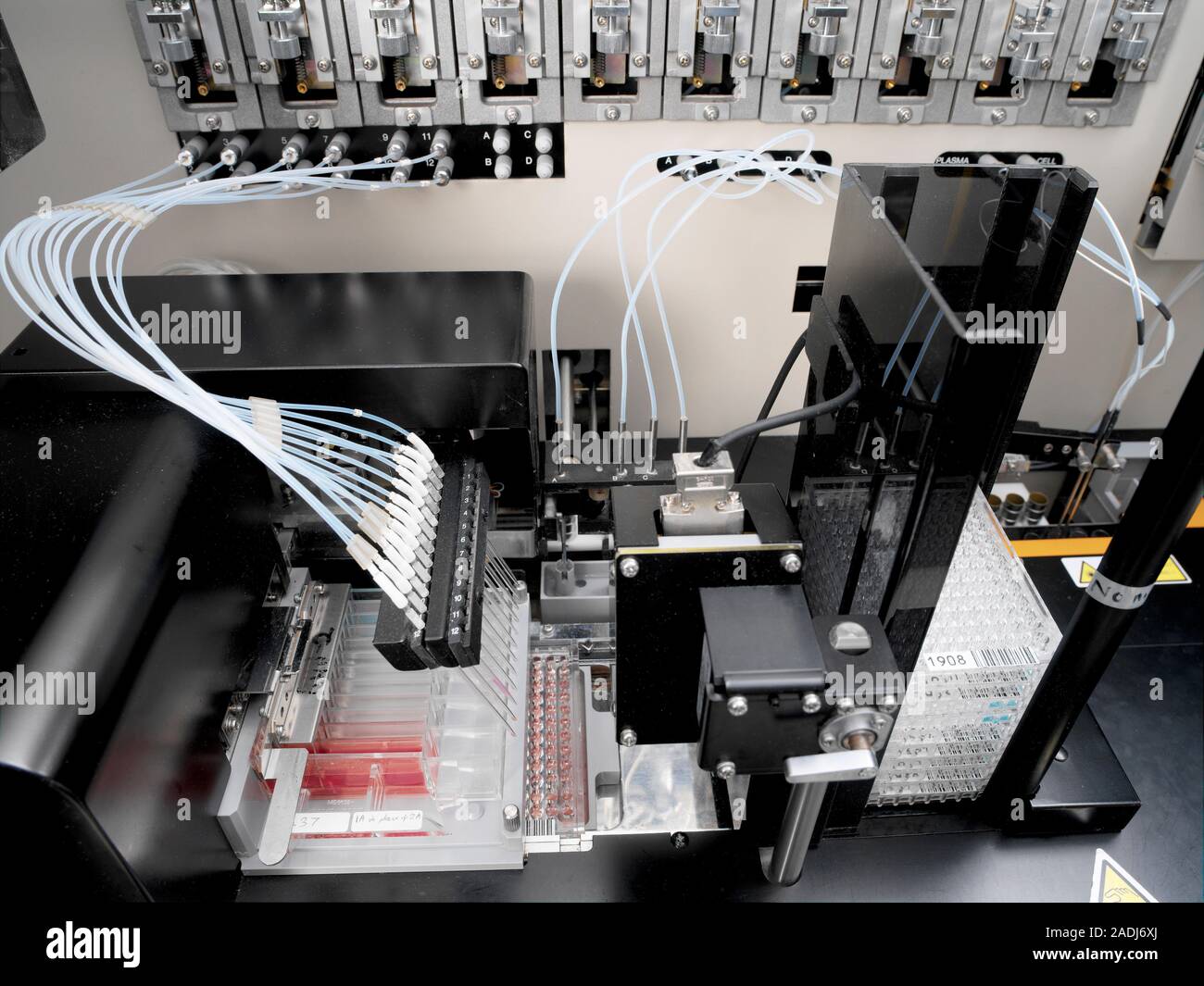 Blood analysis machine. Machine used for the automated testing of donor ...