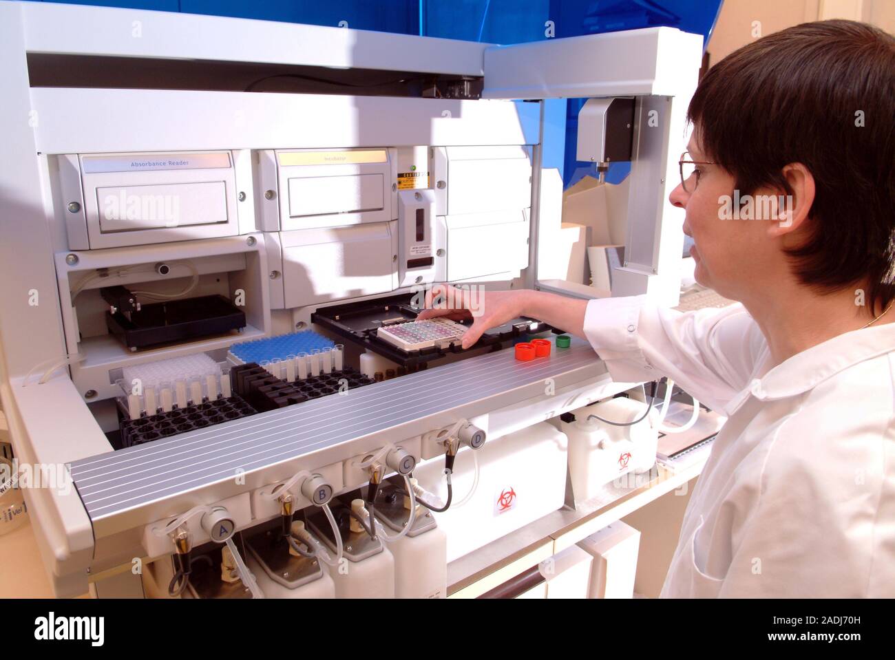 Blood testing. Medical laboratory worker placing samples in an ...