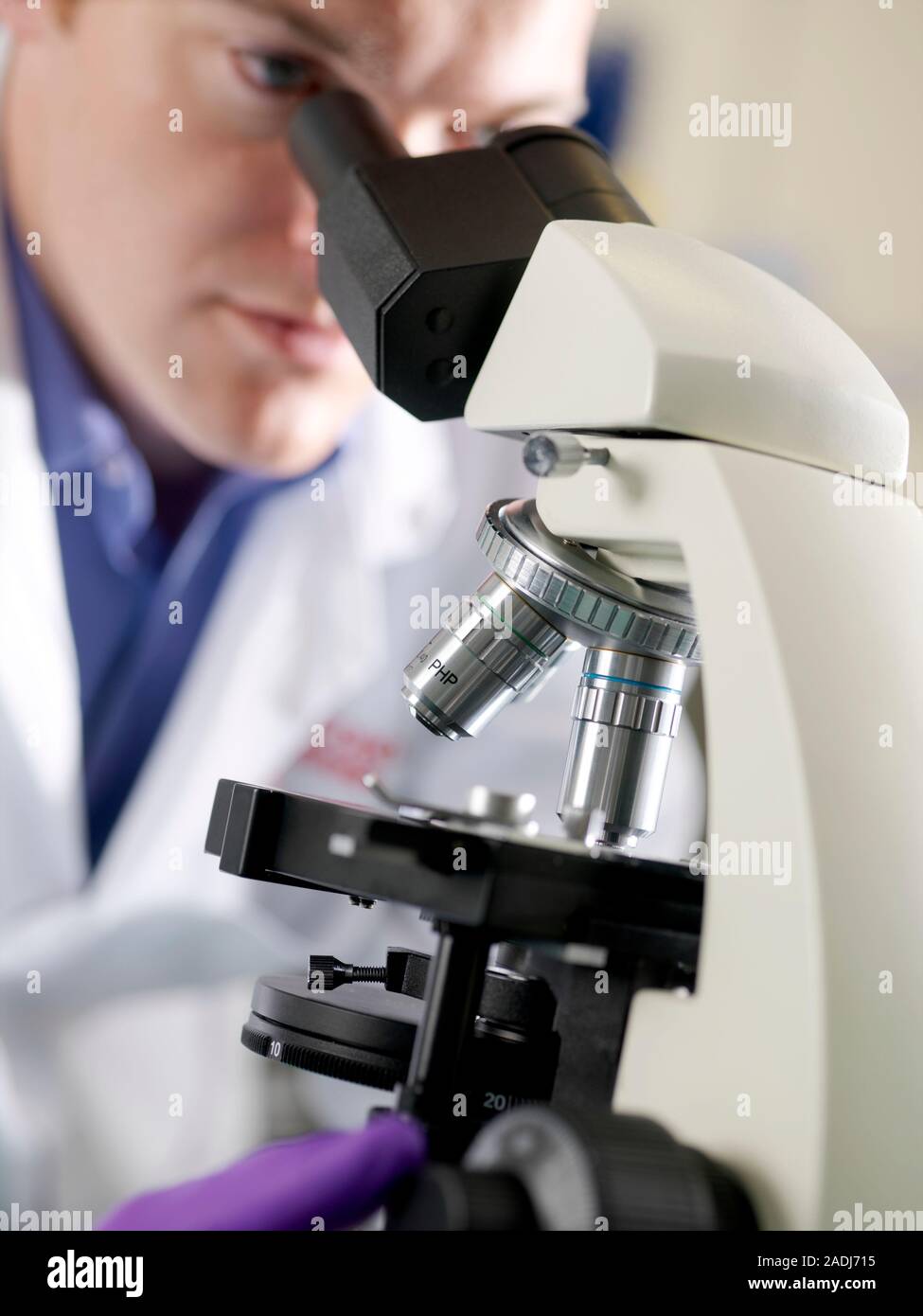 Blood analysis. Technician examining a blood sample under a light ...
