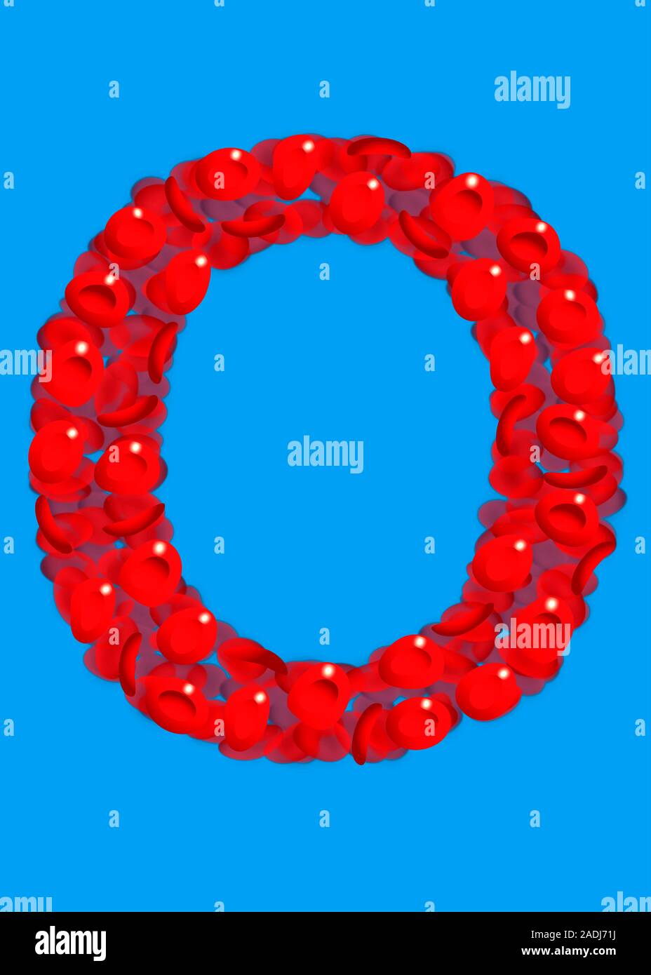 Blood group O. Computer artwork of red blood cells (erythrocytes) in ...
