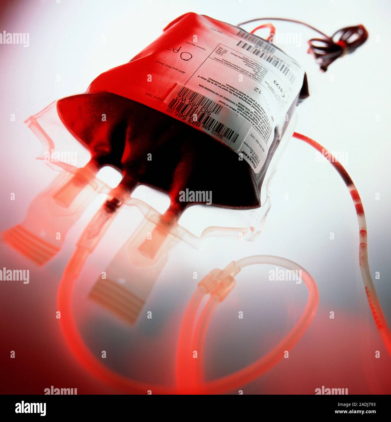 Blood donation bag. View of a bag containing a donation of blood for ...