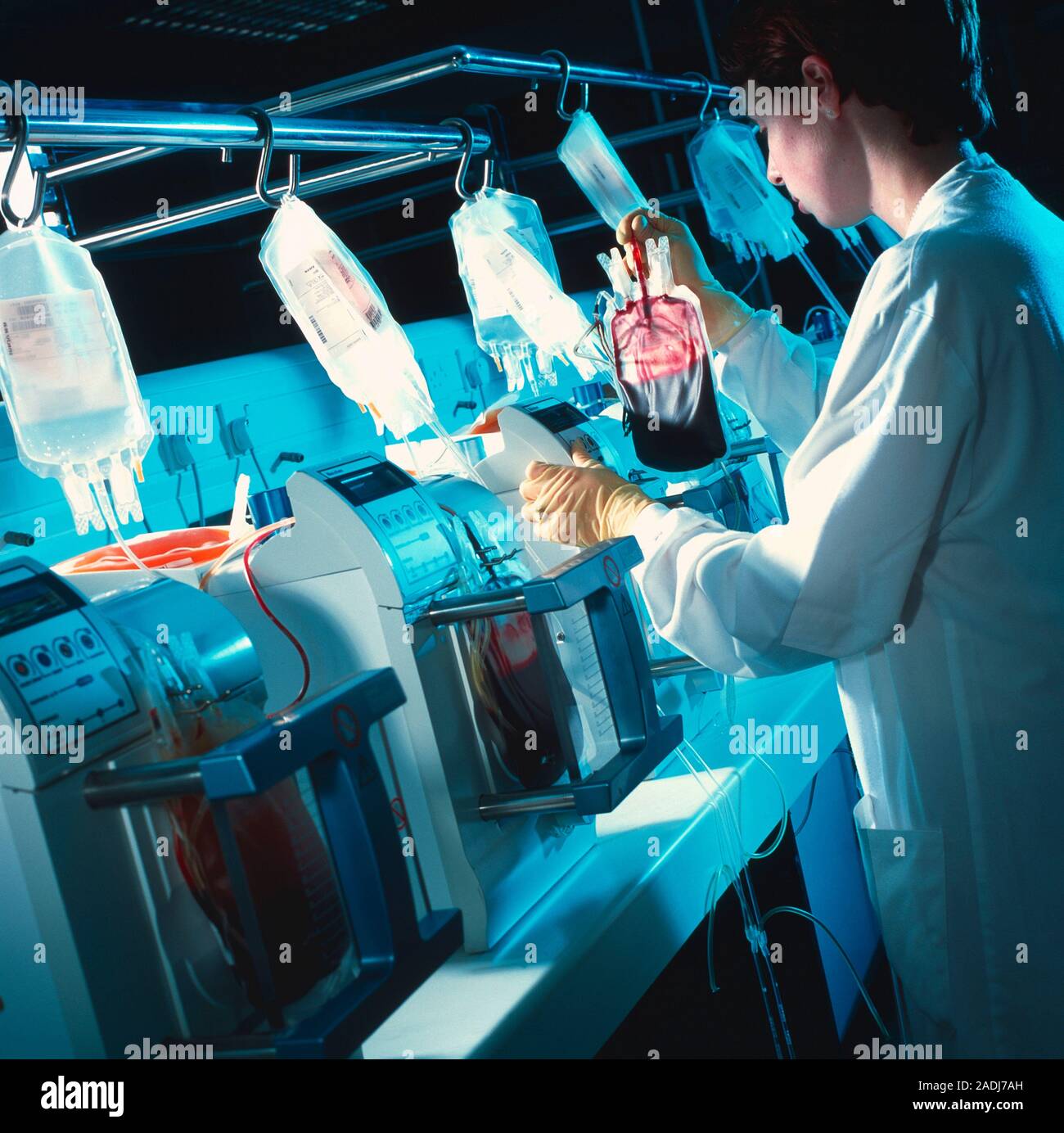 Blood processing. Technician setting up the automated extraction of ...