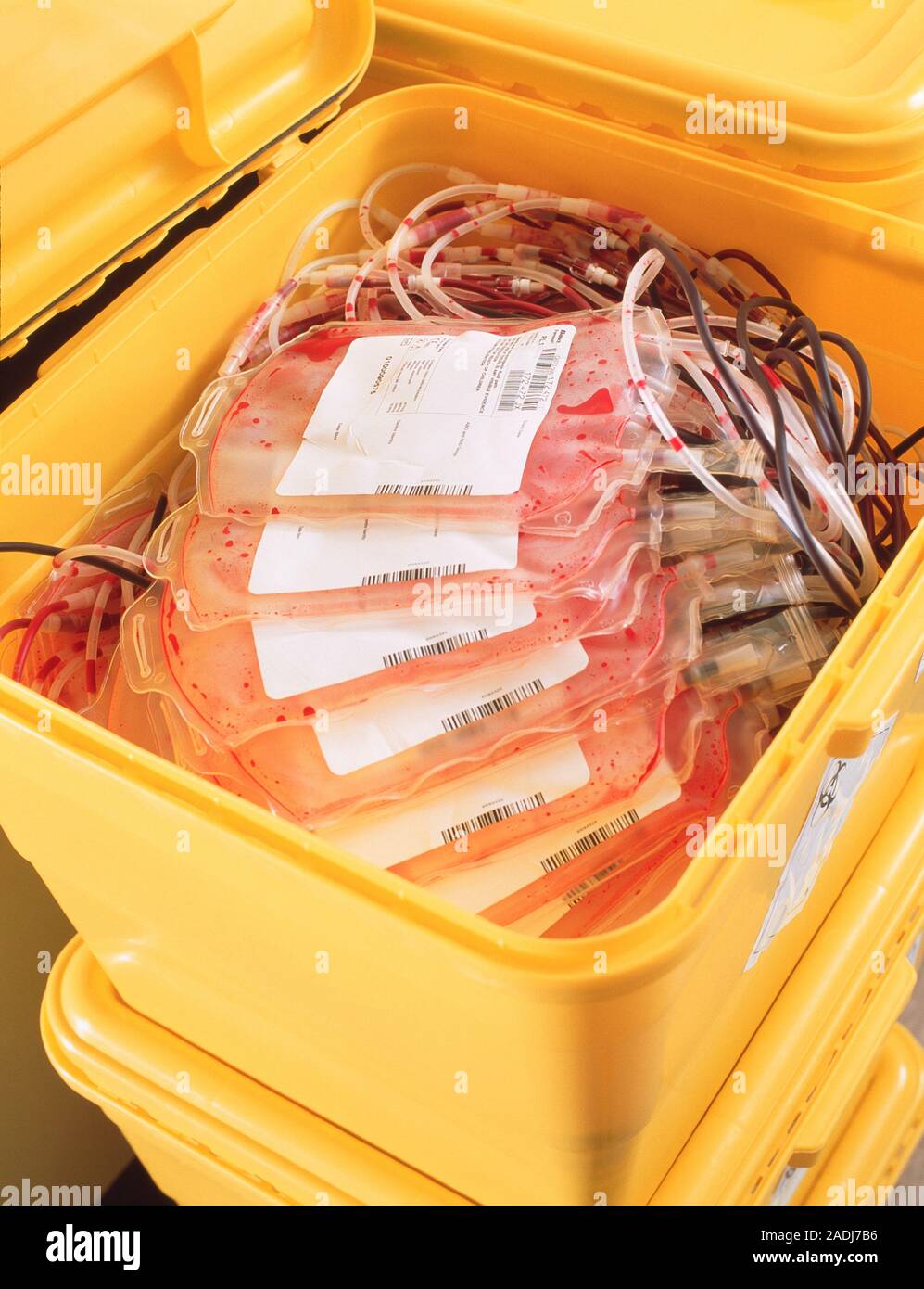 Empty blood bags in a box after filtration of the white blood cells ...