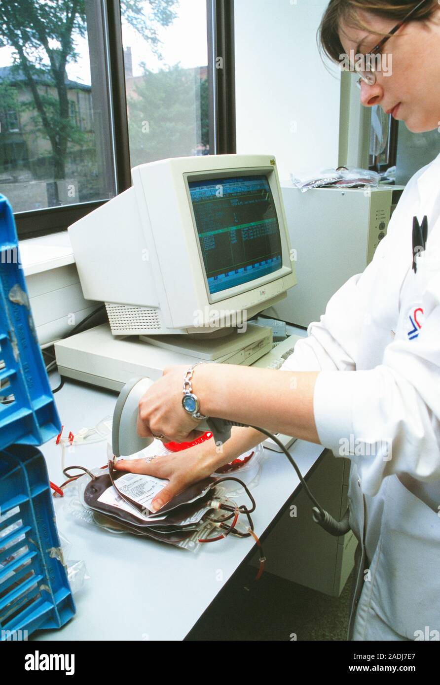 Preparing blood units. Laboratory technician using a barcode scanner to ...