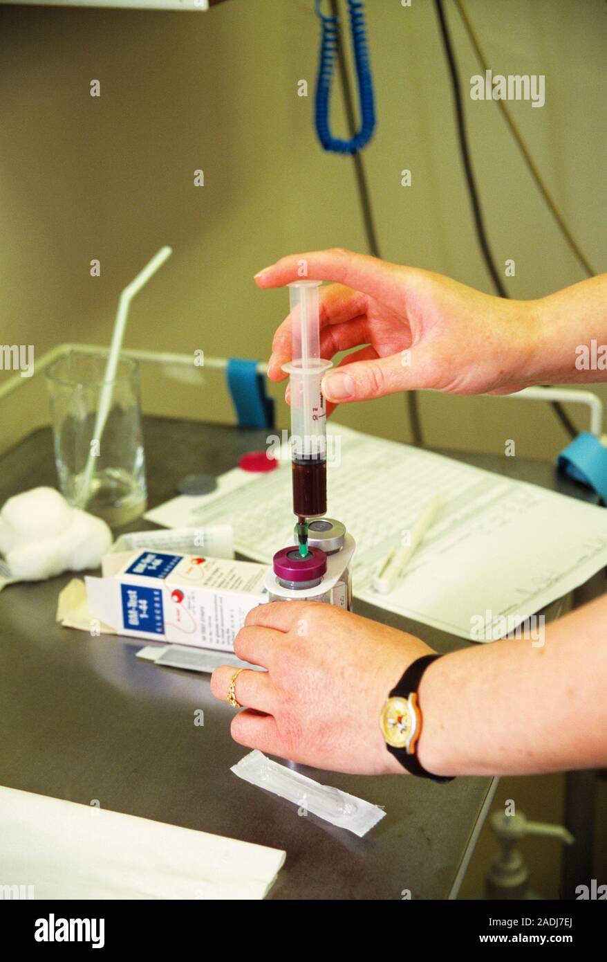 Storing blood. Nurse's hands injecting blood from a syringe into a ...