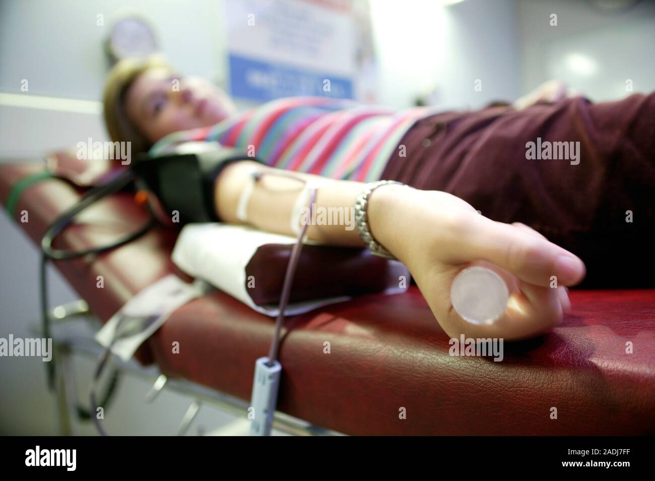 Blood donation. Blood donor lying down, with a tube inserted in her ...