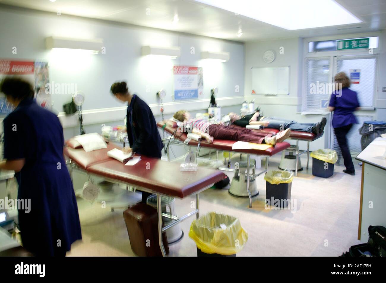 Blood donation. Nurses and blood donors at a blood donation session ...