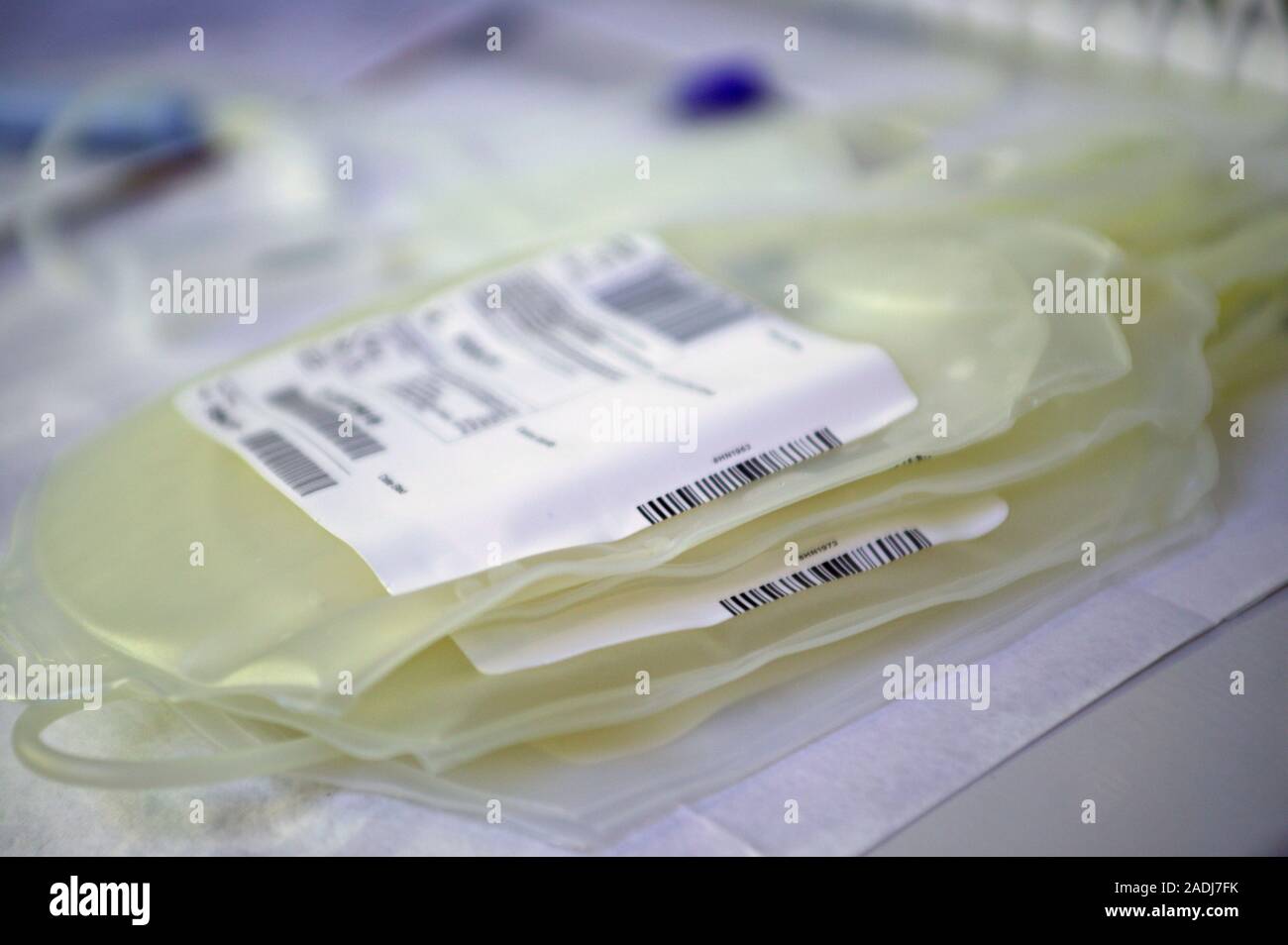 Blood bags. Empty blood bags that will be used to store donated blood ...