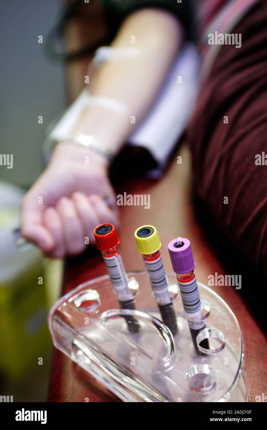 Blood donation. Blood donor lying down, with a tube inserted in her ...