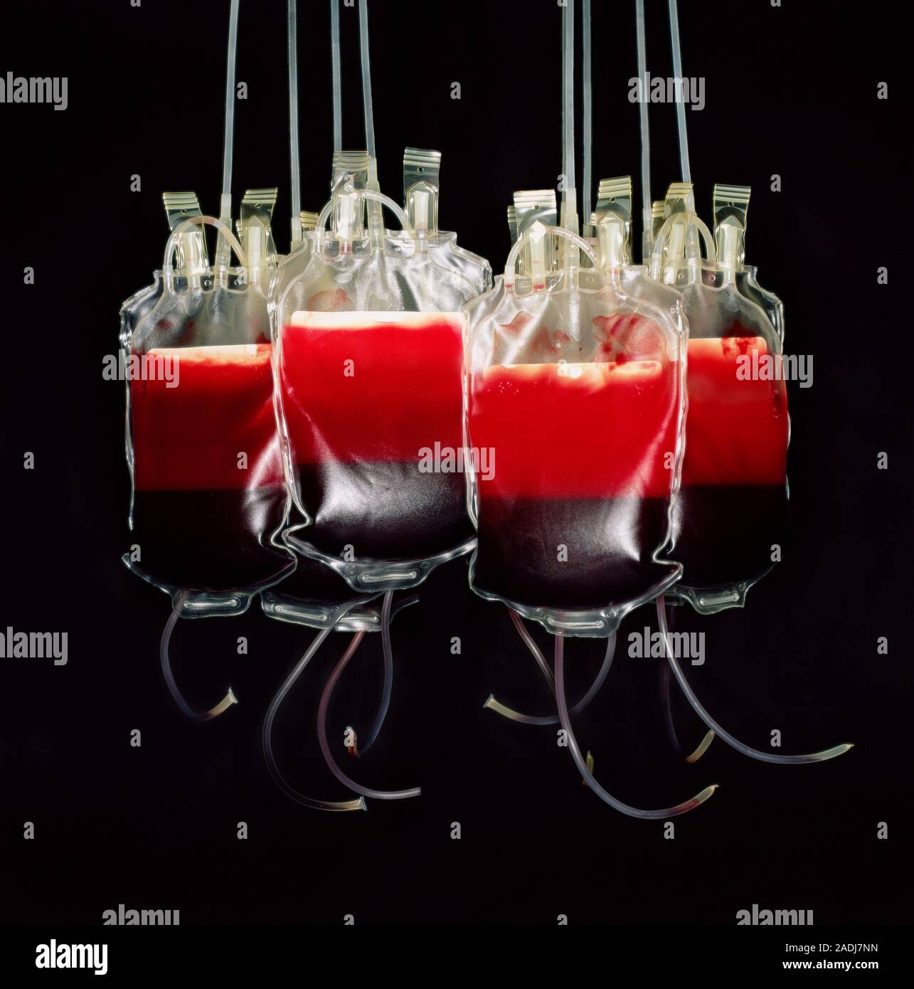 Suspended blood bags Stock Photo - Alamy