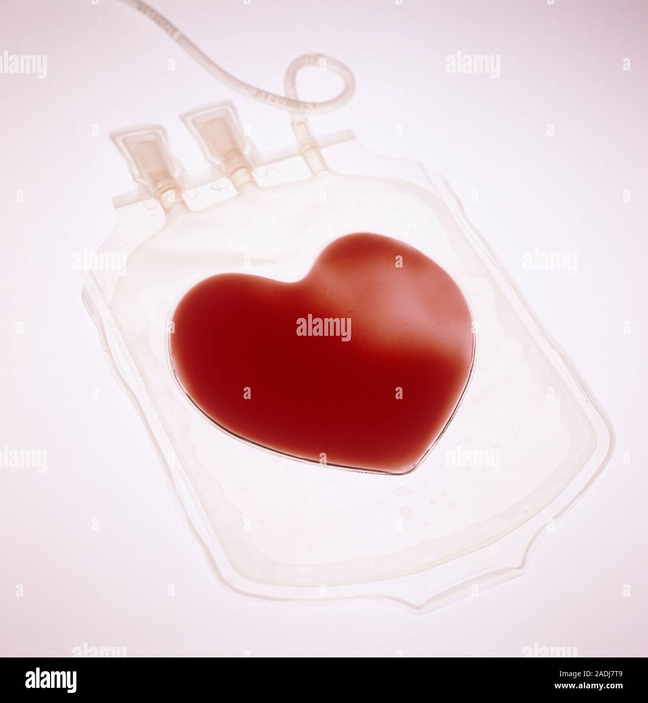 Blood donation, conceptual image of a heart inside a blood bag Stock ...