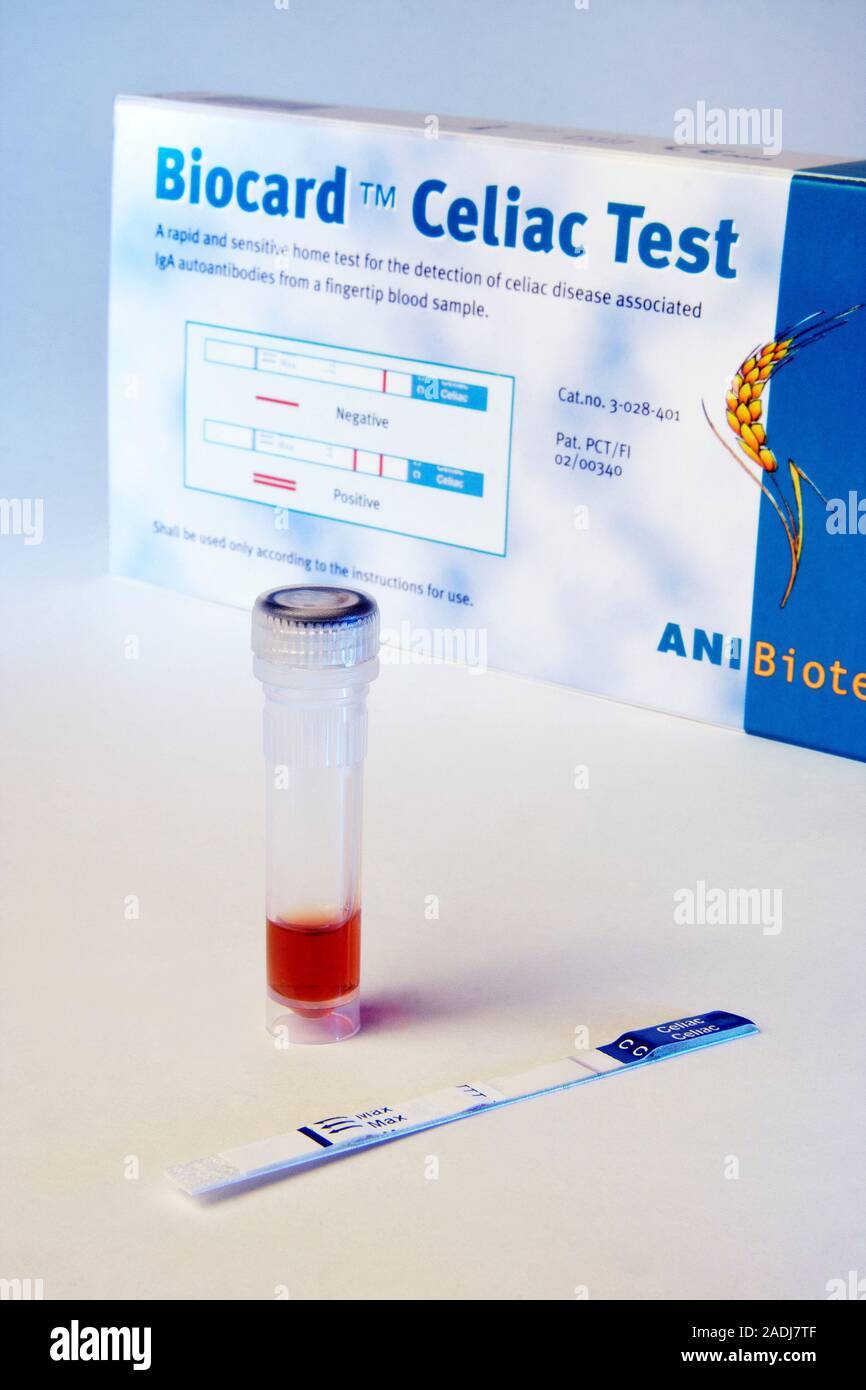Coeliac disease test kit and blood sample. Coeliac disease is an ...