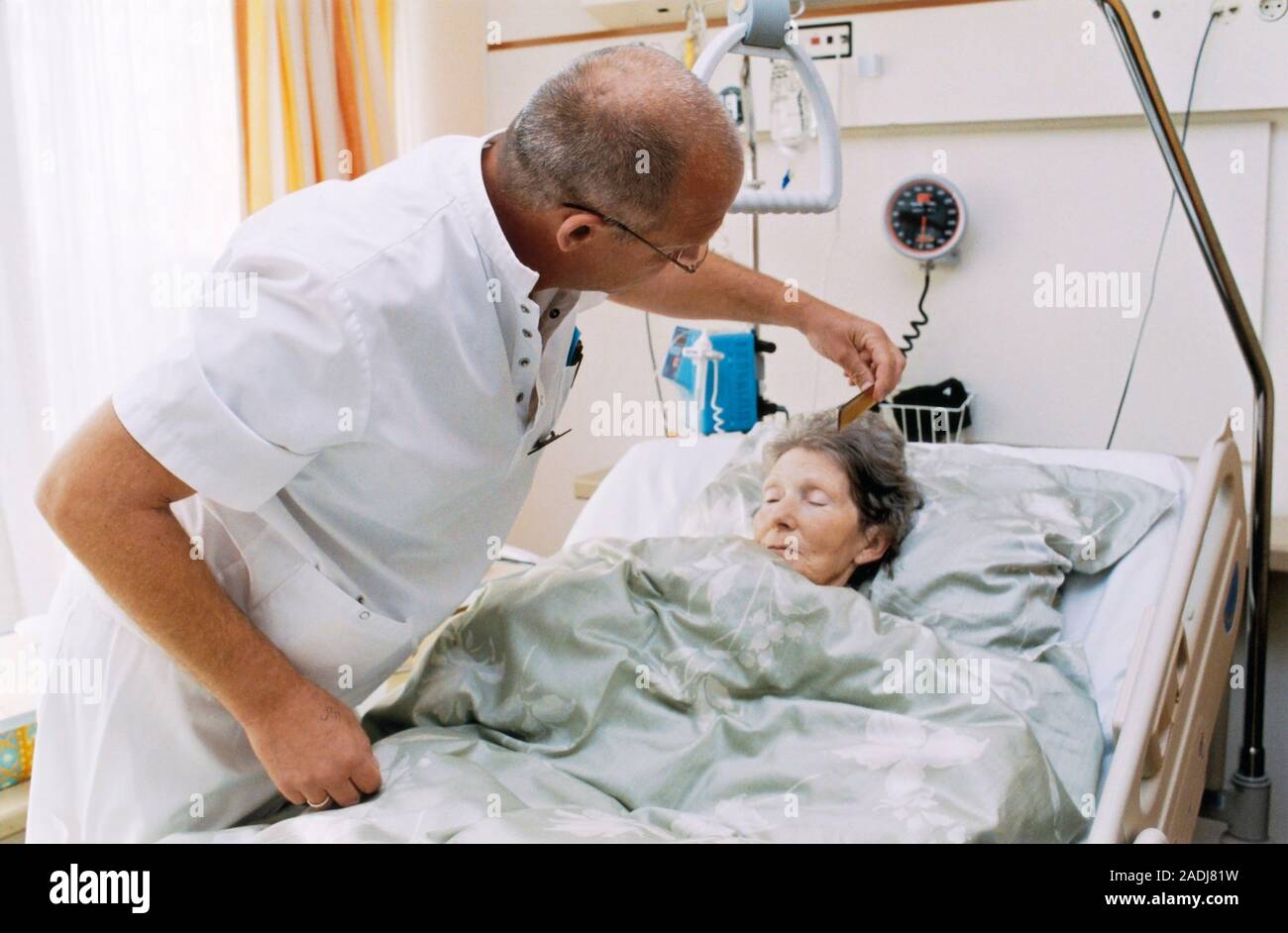 Terminal care. Hospital nurse combing a terminally ill patient's hair ...