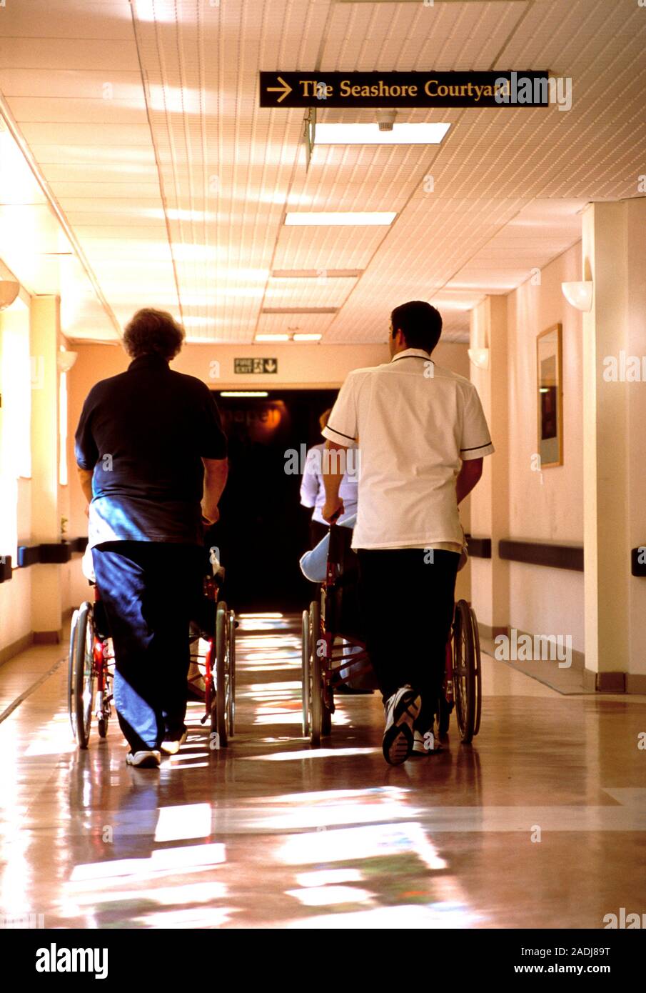 Patient transport. Hospital workers moving two patients in wheelchairs ...