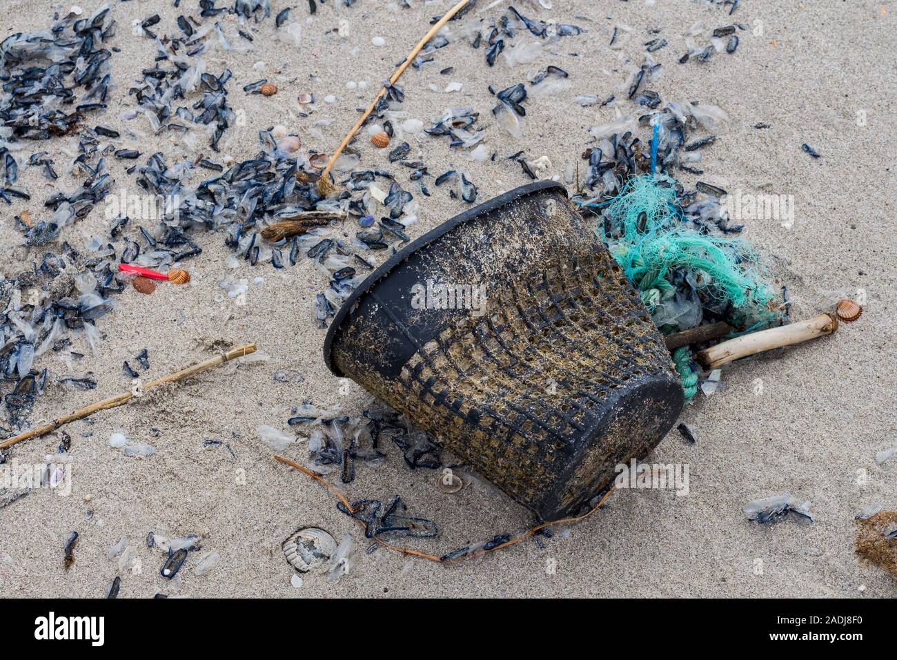Plastic washed from the sea hi-res stock photography and images - Alamy
