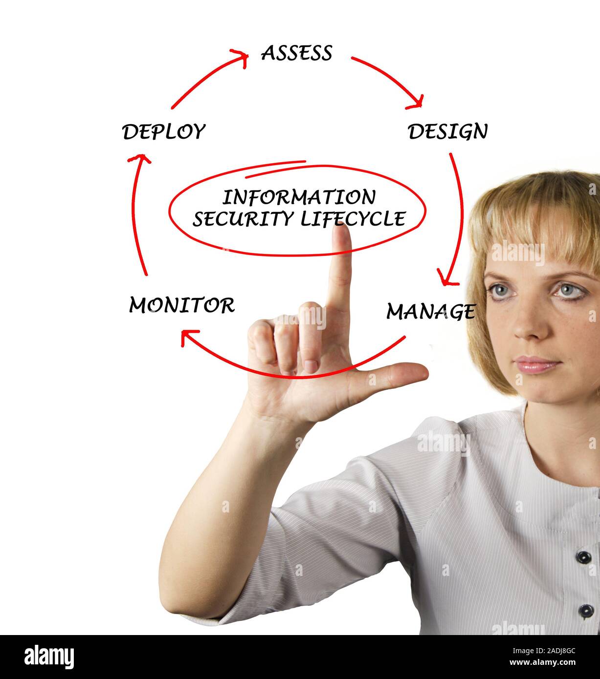 Diagram of information security lifecycle Stock Photo - Alamy