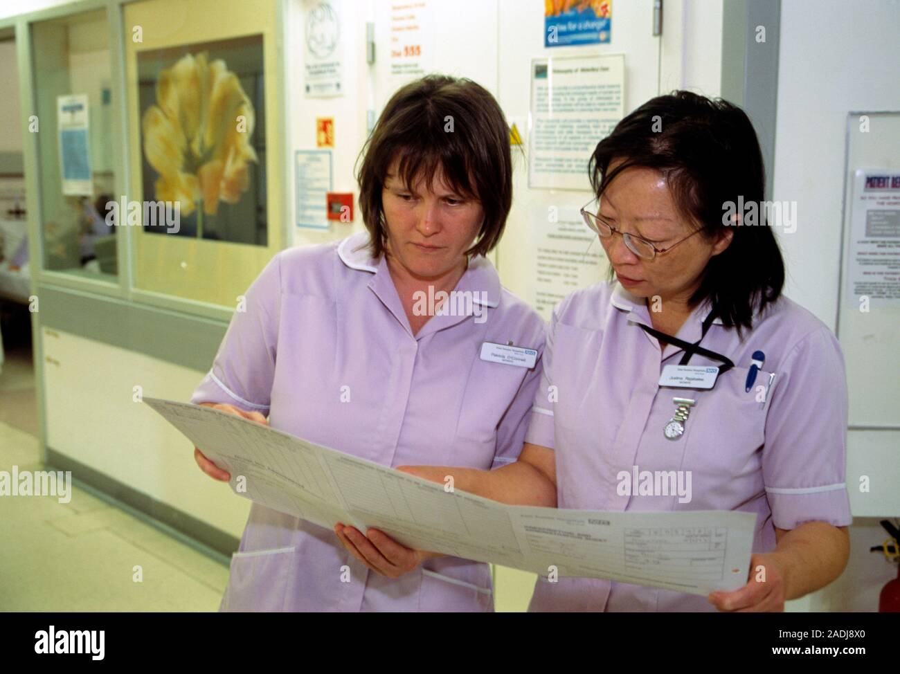 Midwives reading a patient's notes. Photographed at Conquest Hospital ...