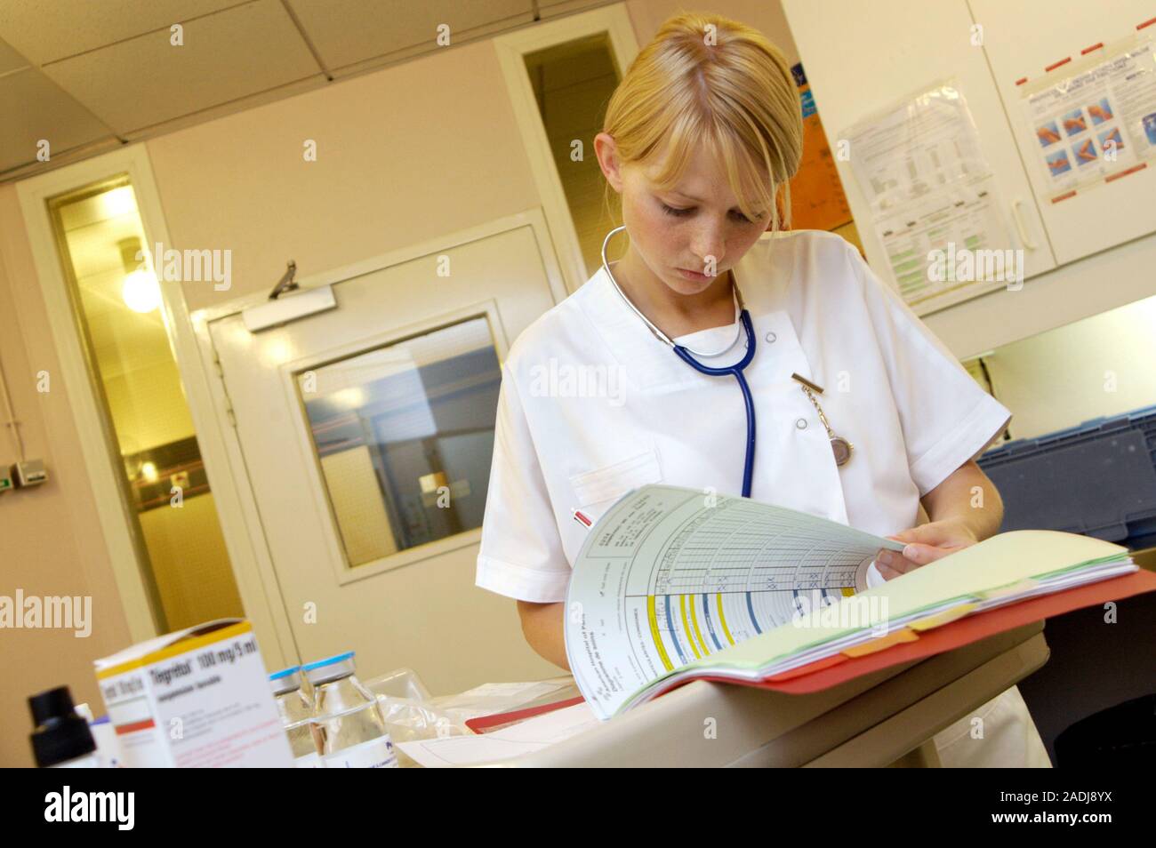 Hospital nurse reading notes as she prepares a trolley of medical ...