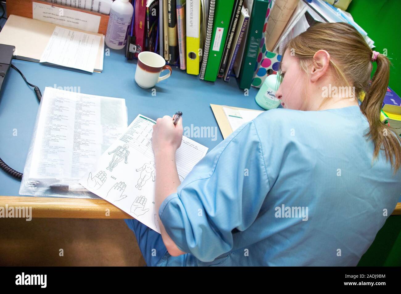 MODEL RELEASED. Medical records. Hospital nurse writing in a patient's ...