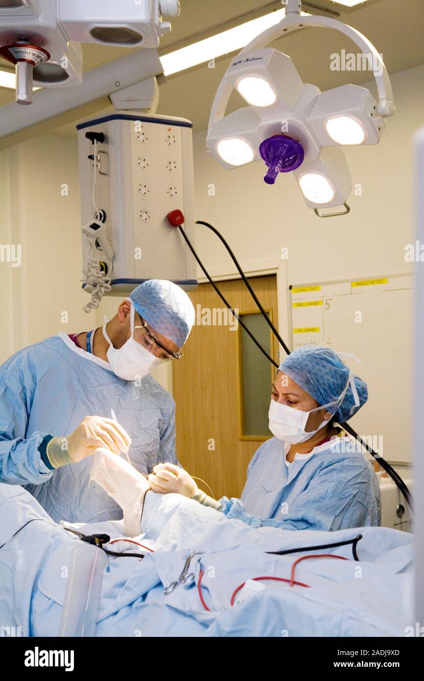 Scarf Akin Osteotomie