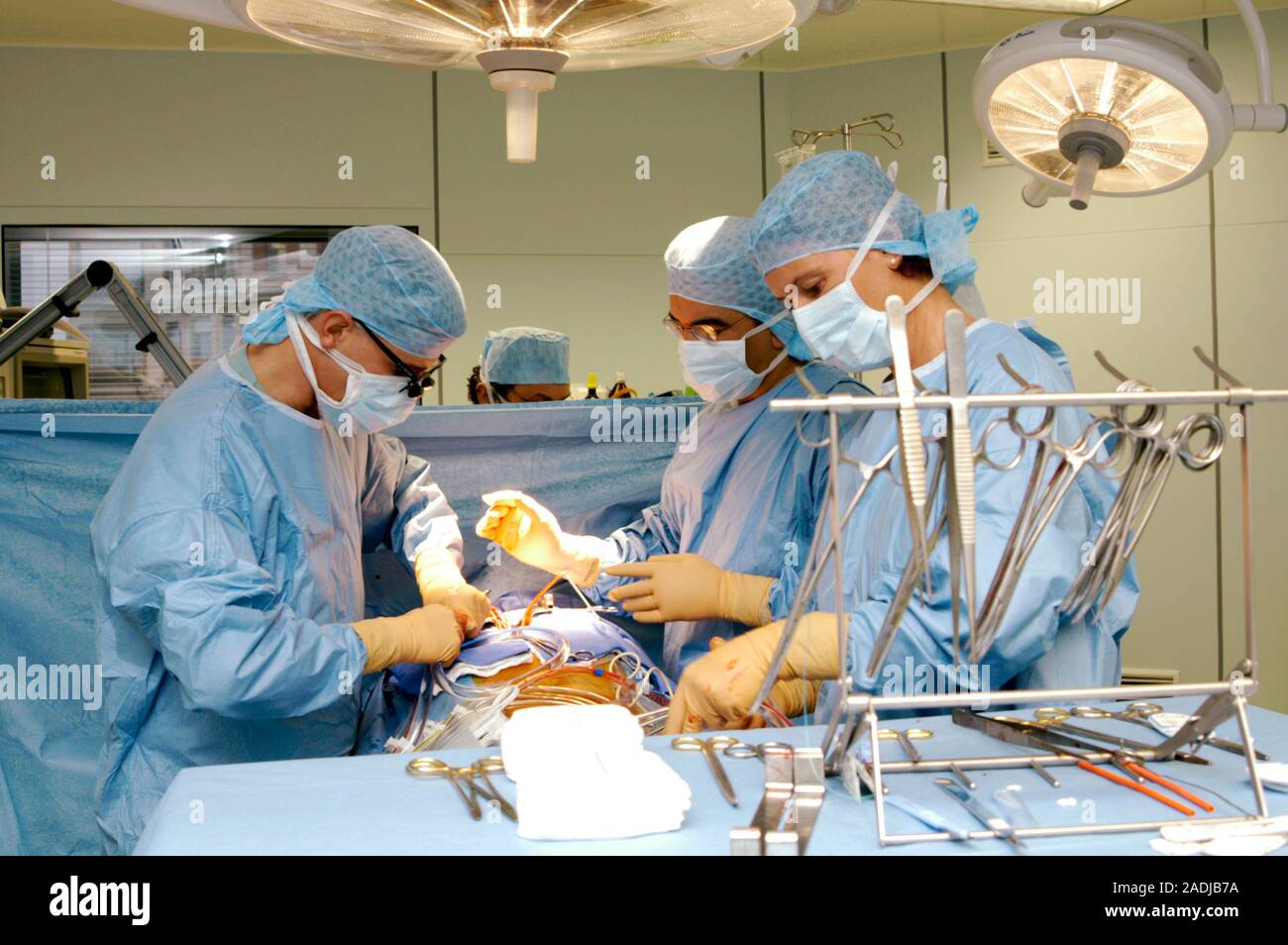 MODEL RELEASED. Heart surgery. Image 11 of 24. Surgeons attaching a ...