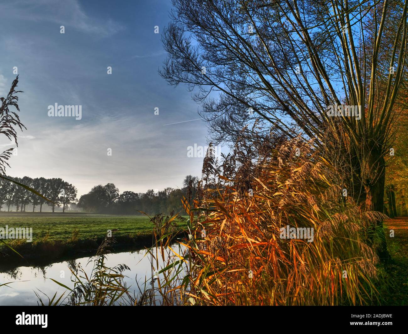 autumn at a german river Stock Photo - Alamy