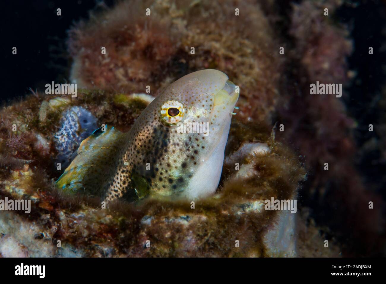 Spot line hi-res stock photography and images - Alamy