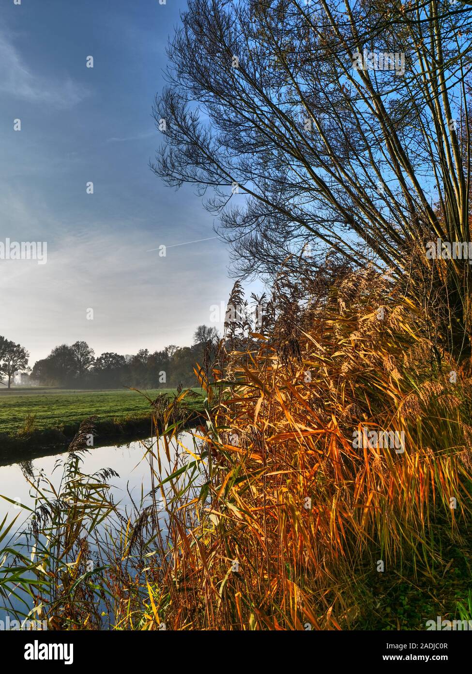 autumn at a german river Stock Photo - Alamy