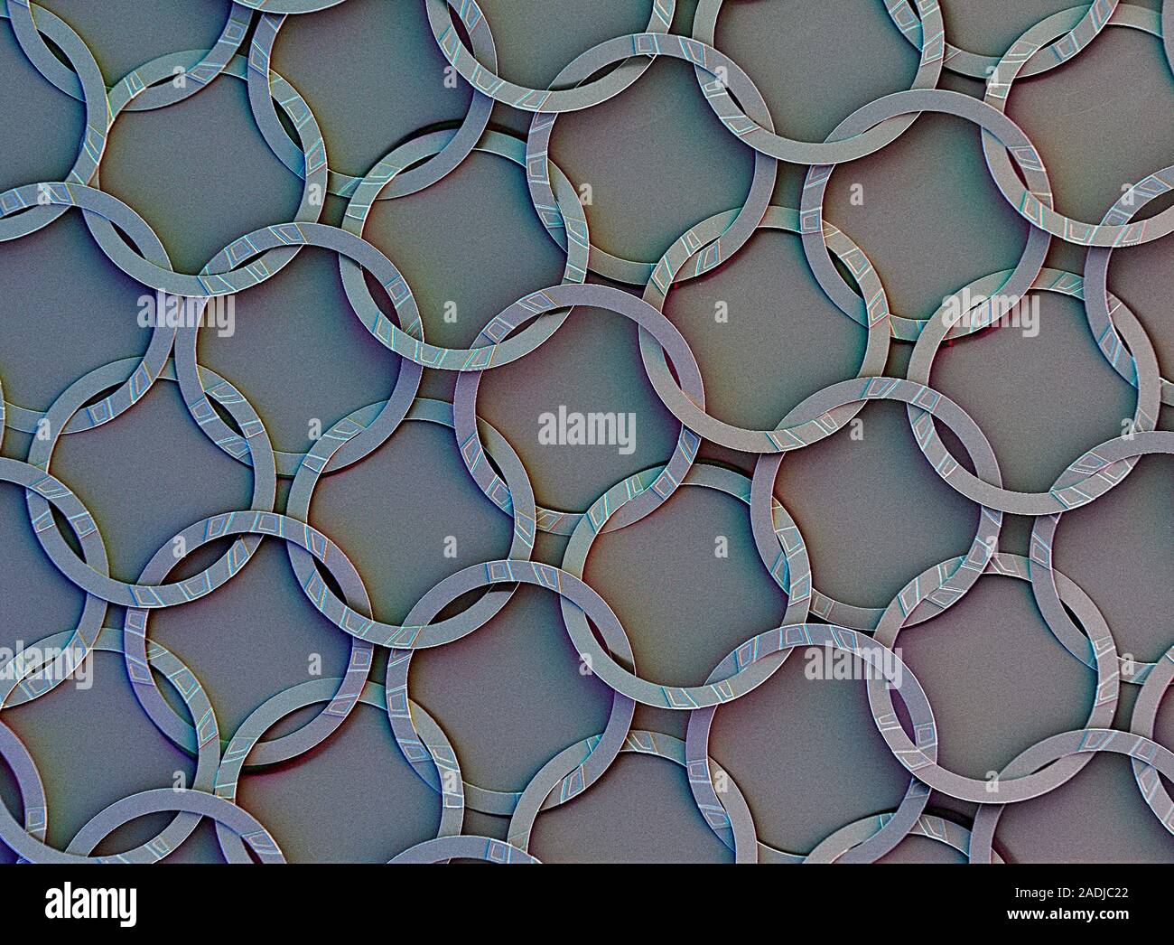 Microrings for artificial tissue growth. Coloured scanning electron ...