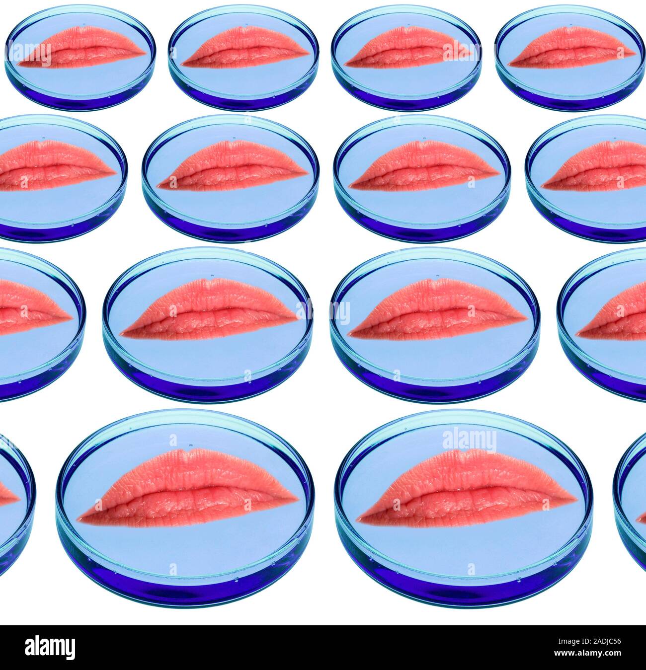 Spare lips. Conceptual computer artwork of lips being grown in petri ...