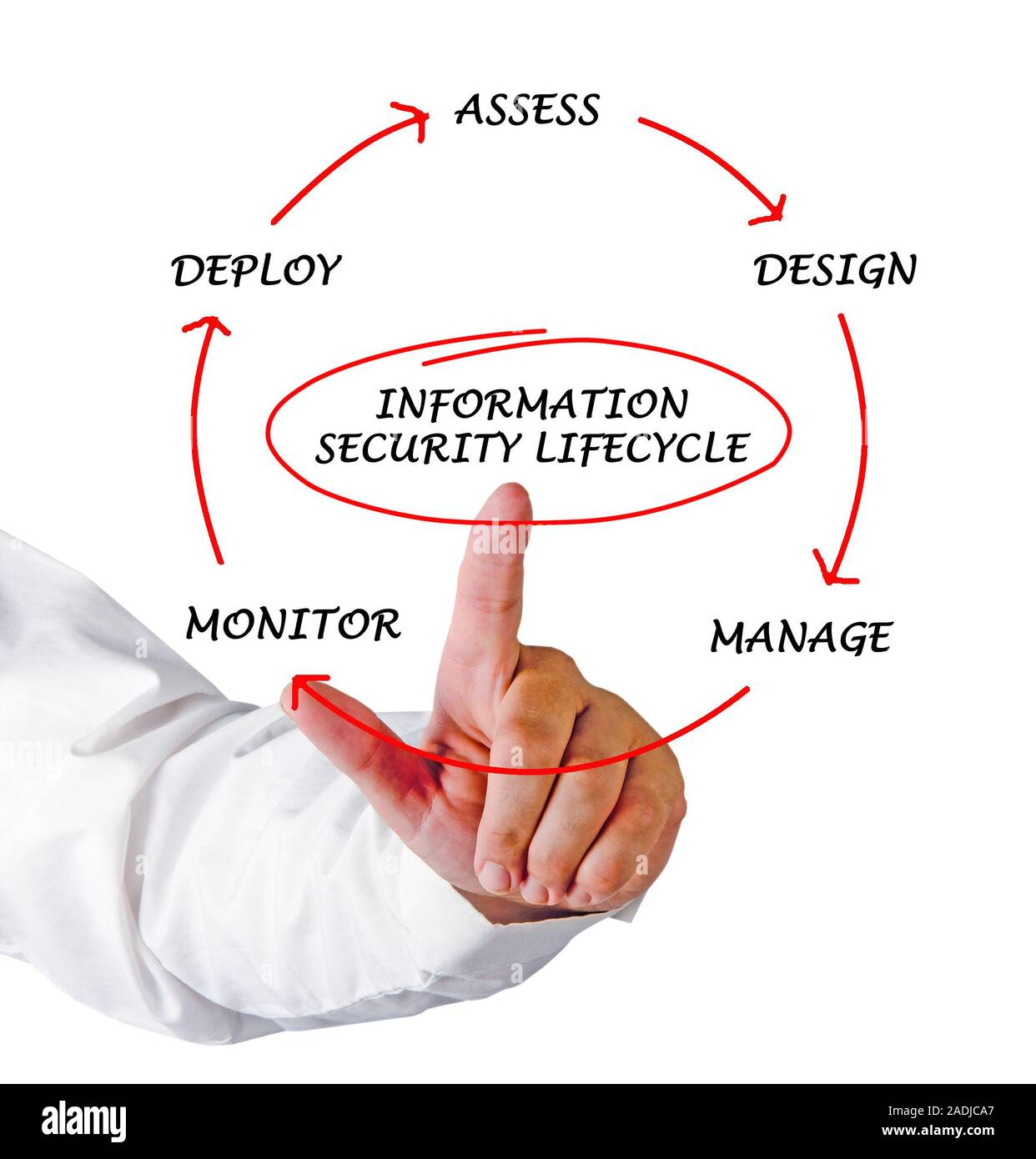 Diagram of information security lifecycle Stock Photo - Alamy