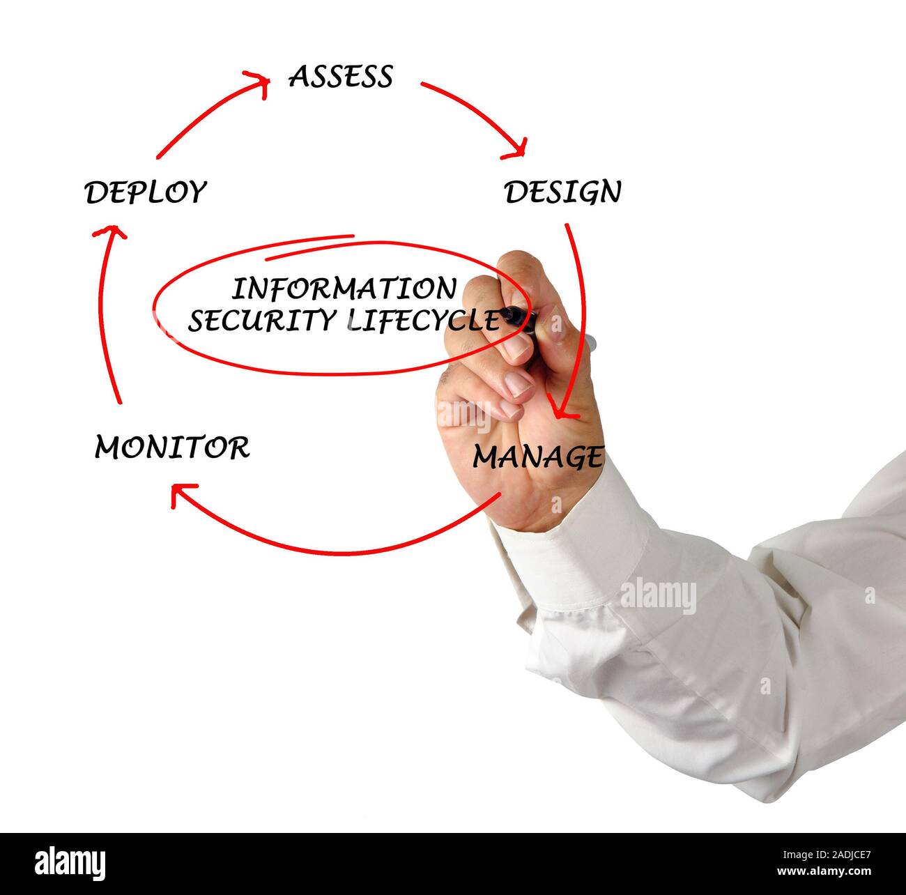 Diagram of information security lifecycle Stock Photo - Alamy