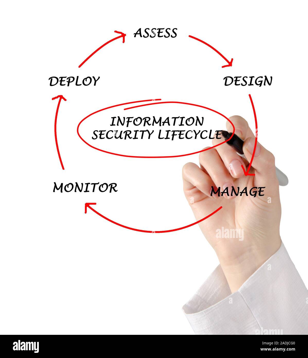 Diagram of information security lifecycle Stock Photo - Alamy