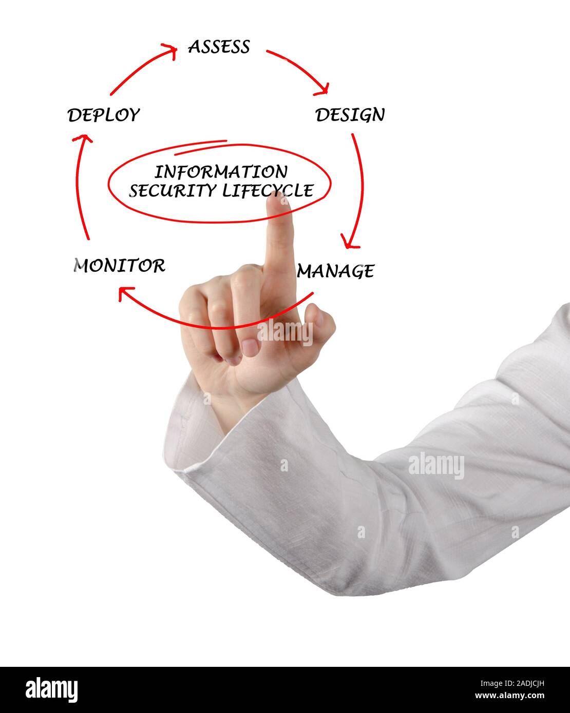 Diagram of information security lifecycle Stock Photo - Alamy