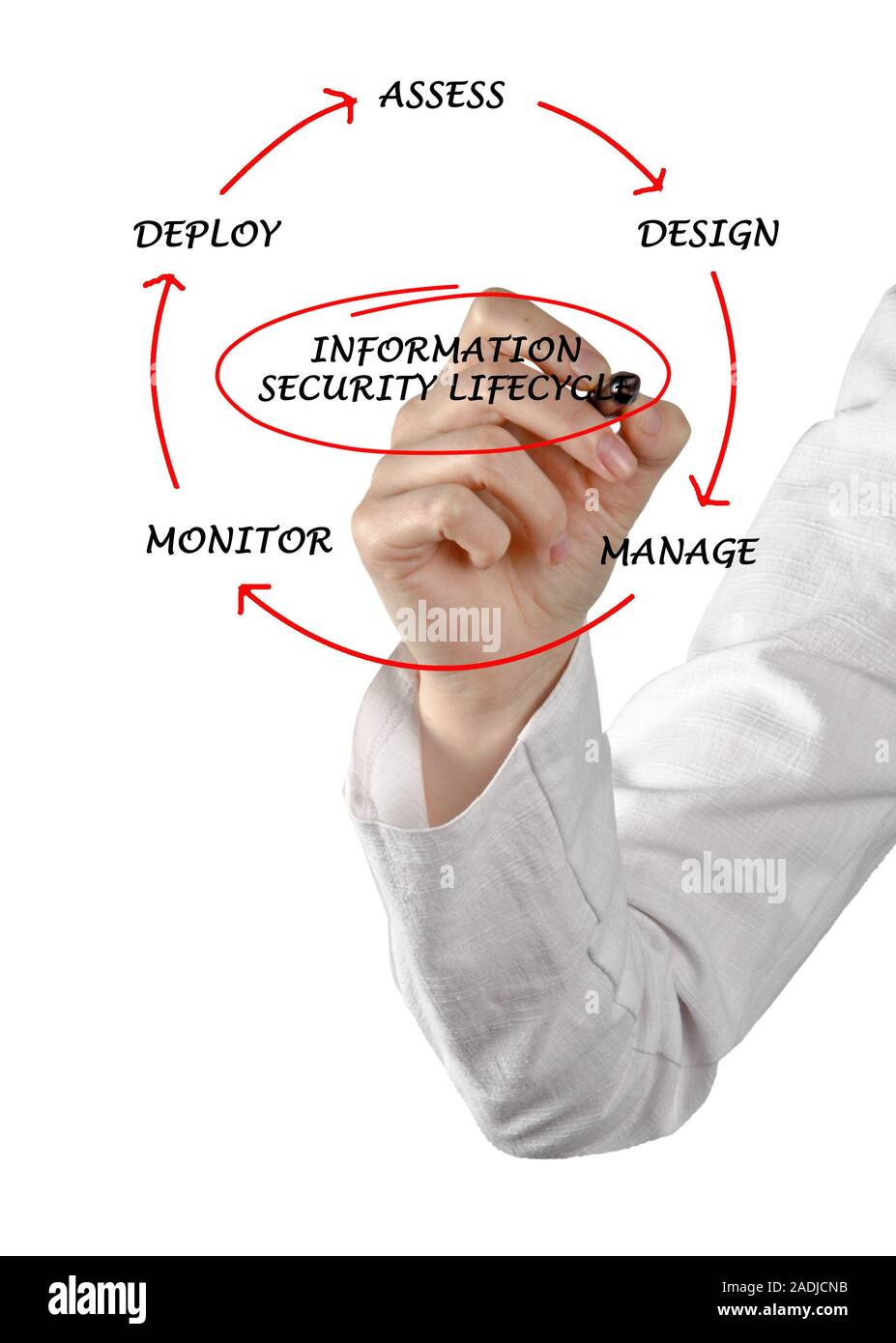 Diagram of information security lifecycle Stock Photo - Alamy
