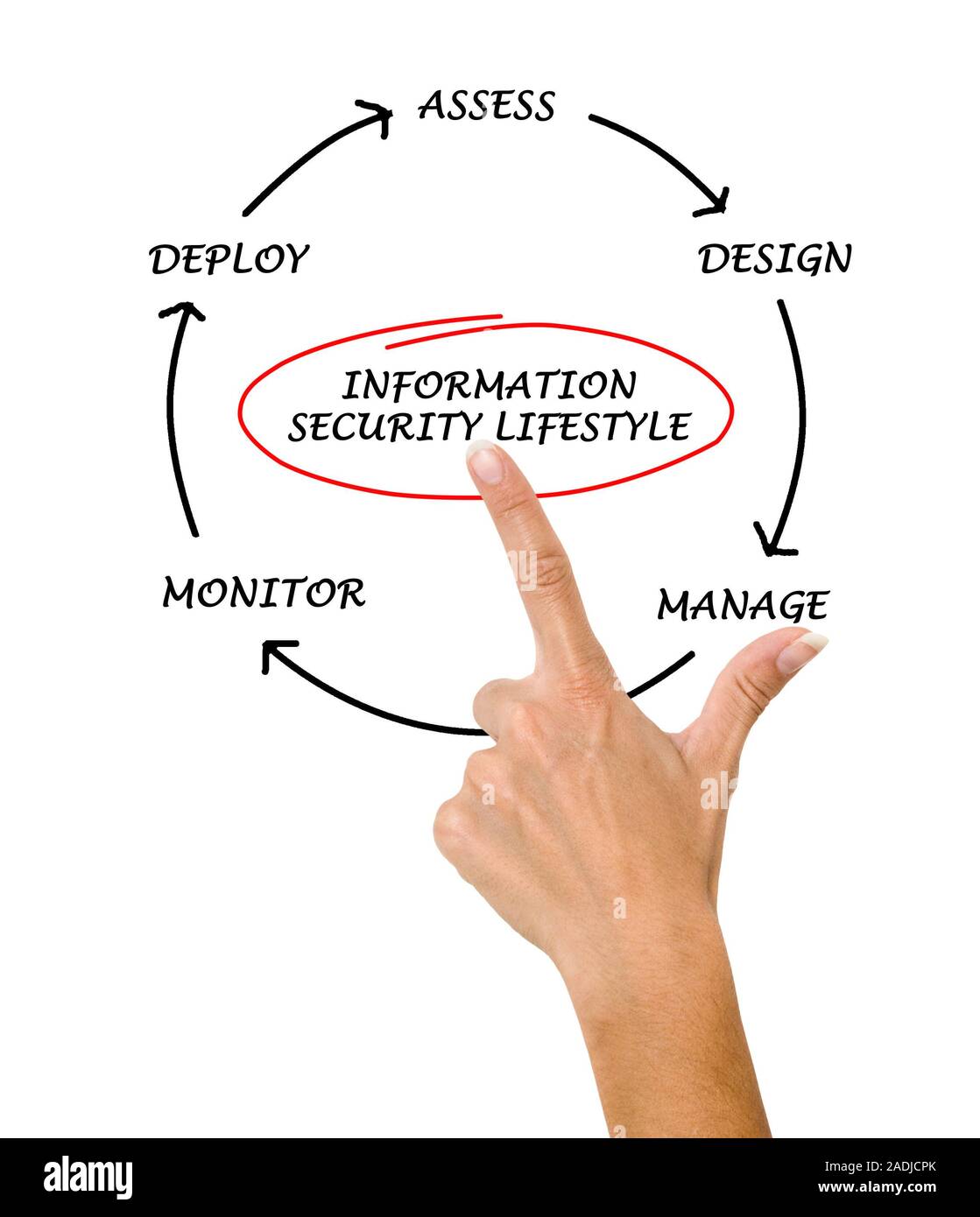 Diagram of information security lifecycle Stock Photo - Alamy