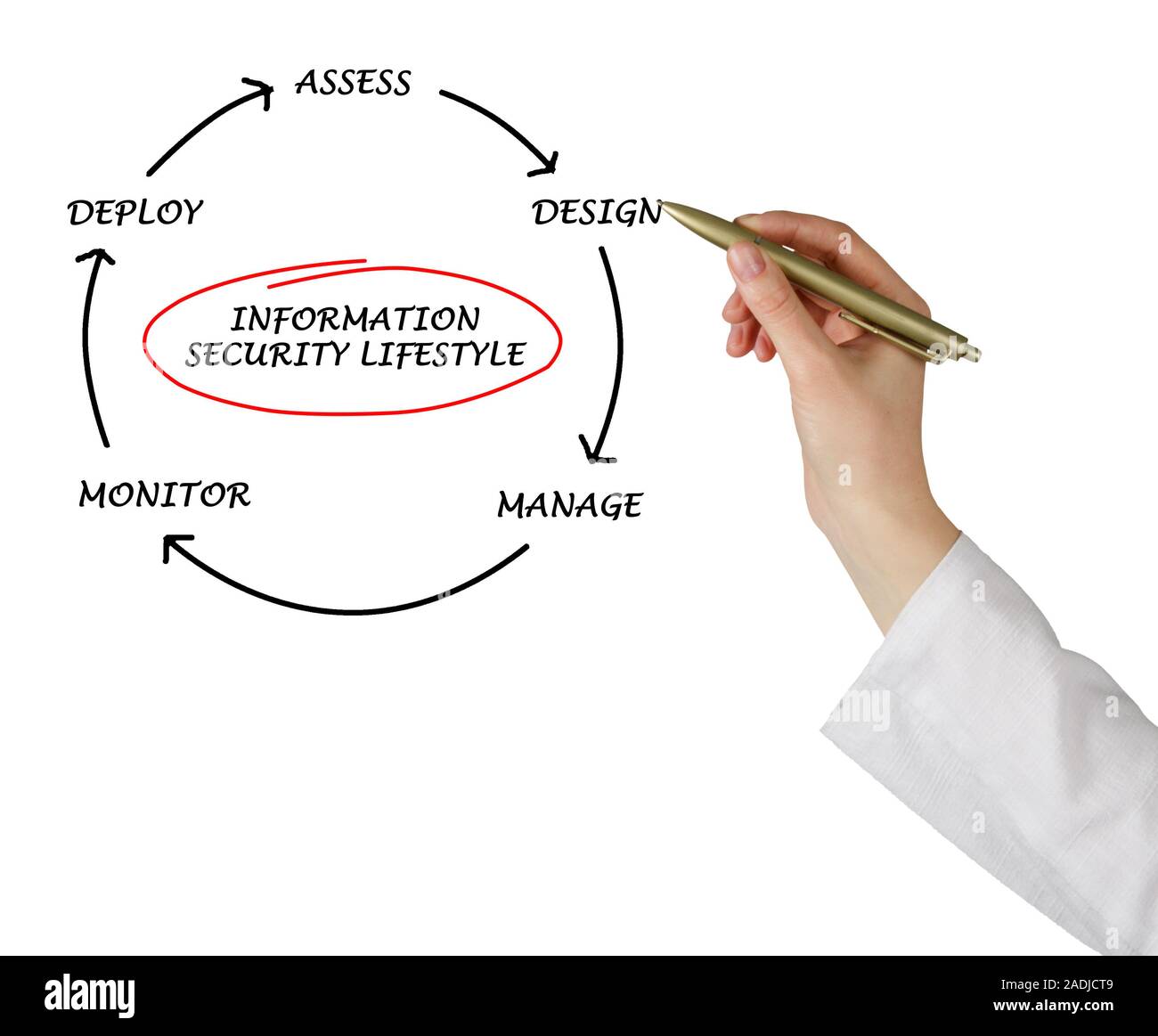 Diagram of information security lifecycle Stock Photo - Alamy